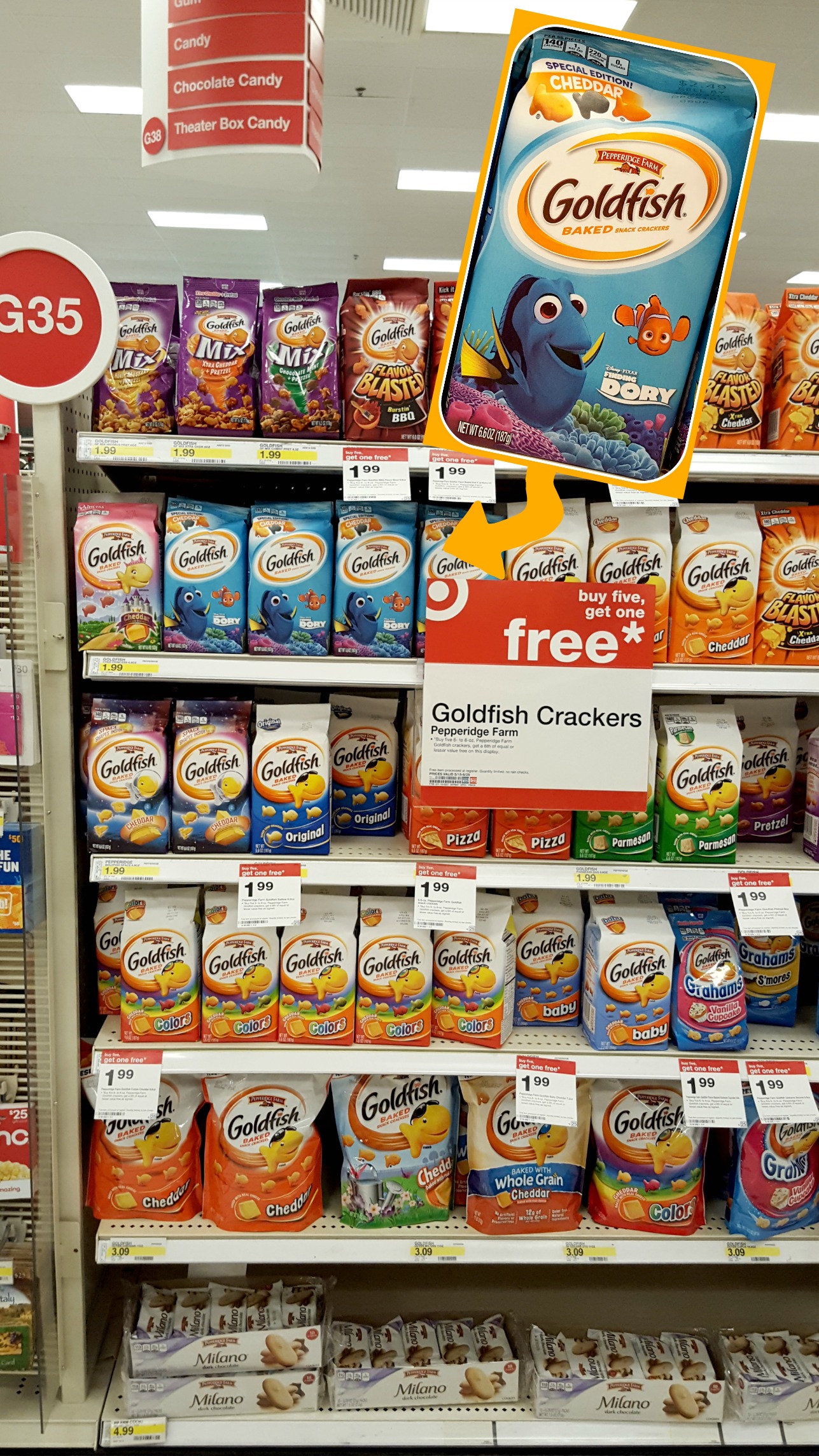 Finding Dory Games (with free printables) - Fun Money Mom