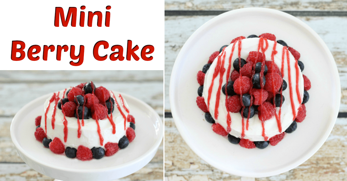 Mini Berry Cake - Fun Money Mom