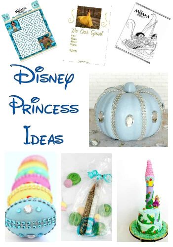Disney Princess Ideas | Fun Money Mom