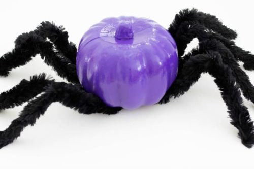 Spider Pumpkin Halloween Craft | Fun Money Mom