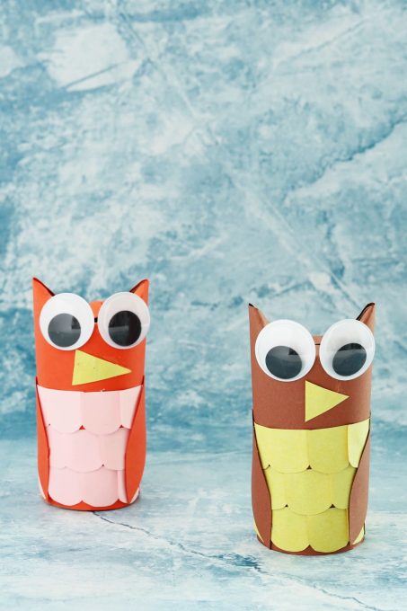 How To Make Toilet Paper Roll Owl Crafts | Fun Money Mom
