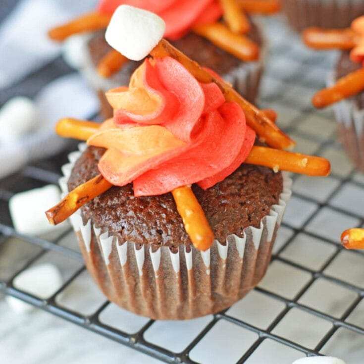 Easy Campfire Cupcakes - Fun Money Mom