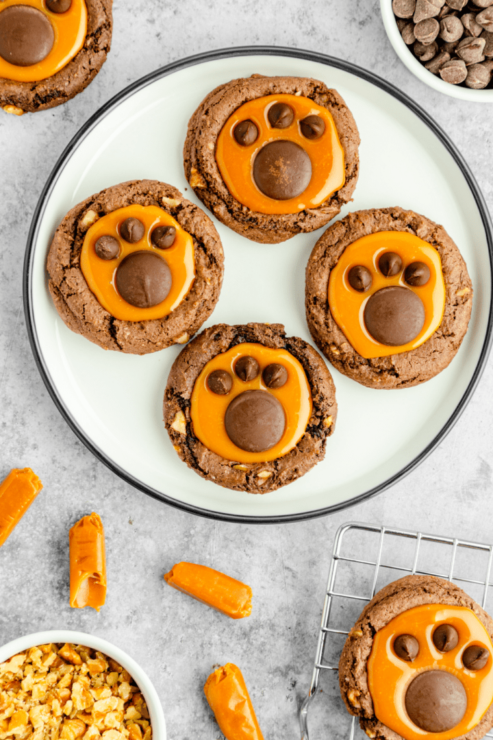 Chocolate Bear Paw Cookies - Fun Money Mom