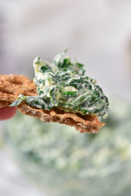 Cold Spinach Dip Recipe - Fun Money Mom