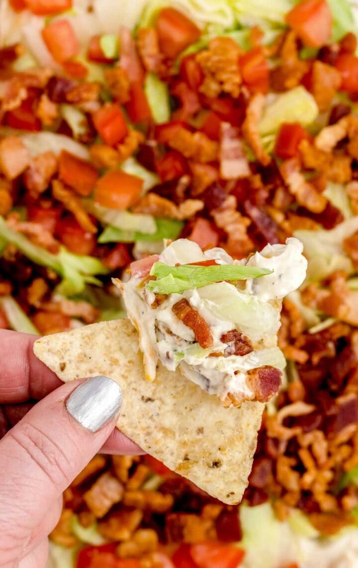40+ Easy Cold Dip Recipes - Fun Money Mom