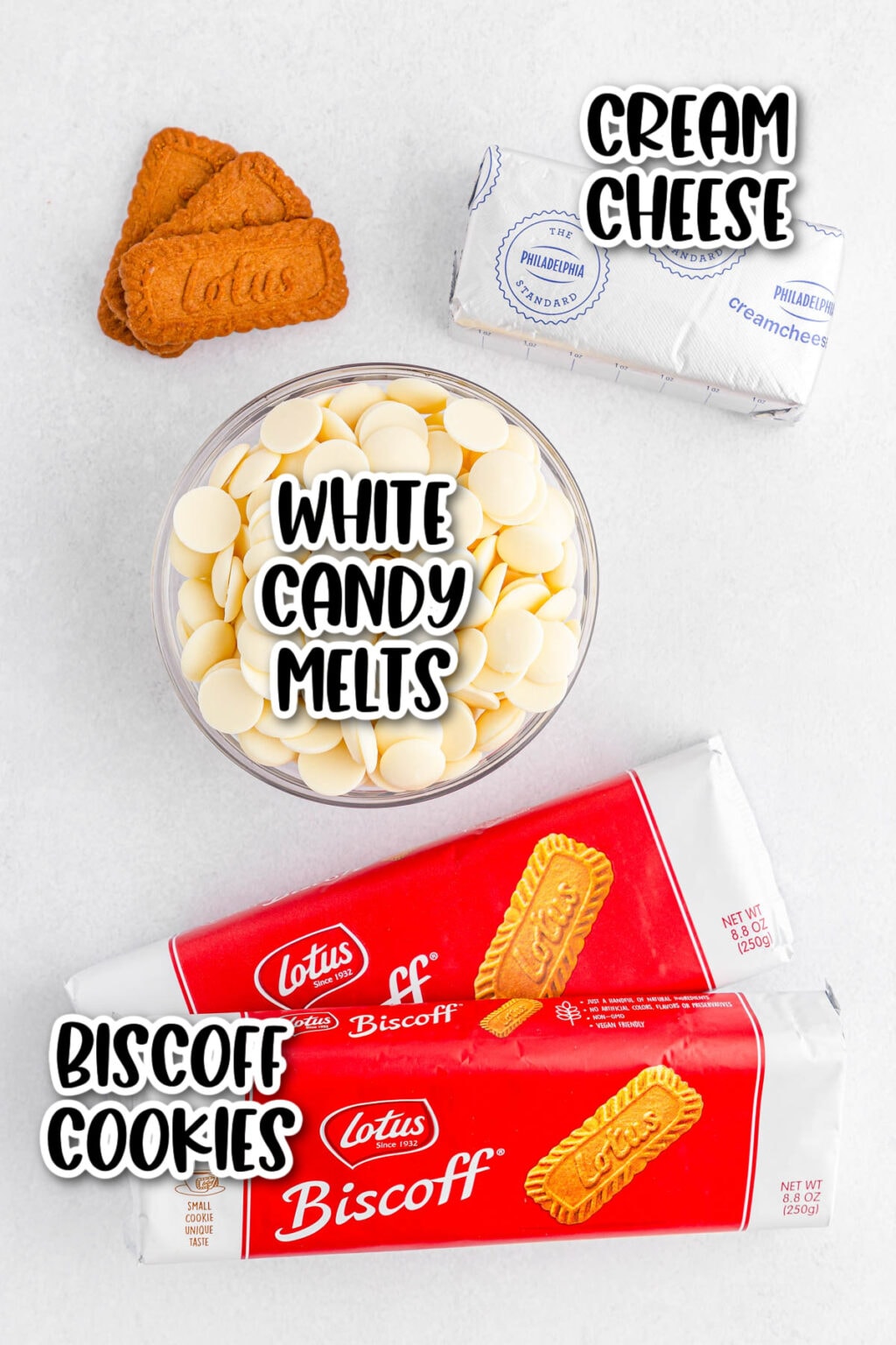 No-Bake Biscoff Truffles - Fun Money Mom