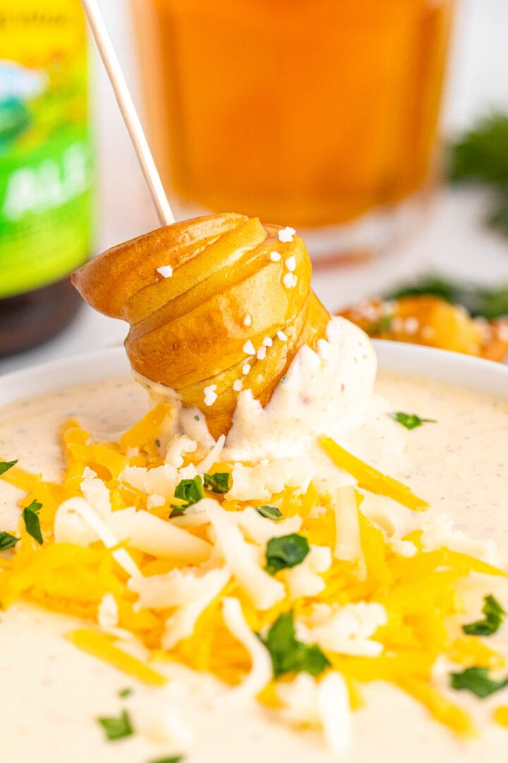Easy Beer Cheese Dip Recipe (Hot or Cold) - Fun Money Mom