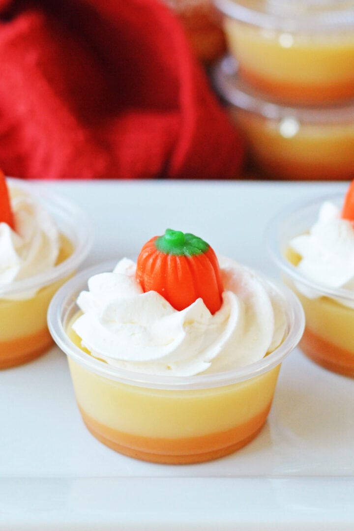 Pumpkin Jello Shots - Fun Money Mom