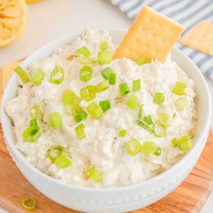40+ Easy Cold Dip Recipes - Fun Money Mom