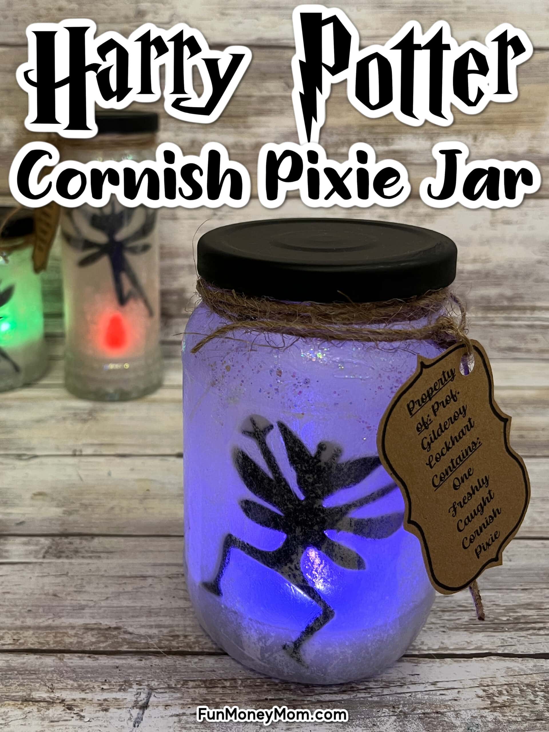 Harry Potter Cornish Pixie Jar - Fun Money Mom