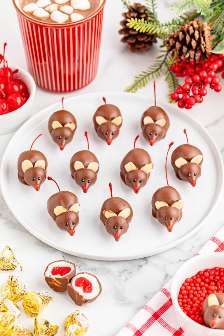 Chocolate Christmas Mice - Fun Money Mom