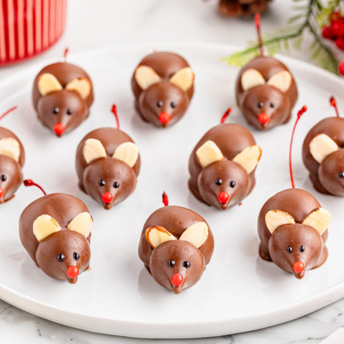 45 Festive Christmas Desserts - Fun Money Mom