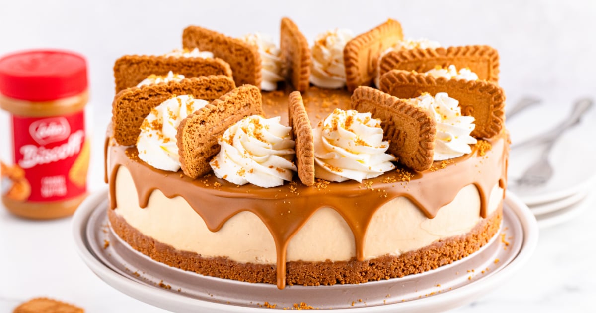 Biscoff Cheesecake - Fun Money Mom