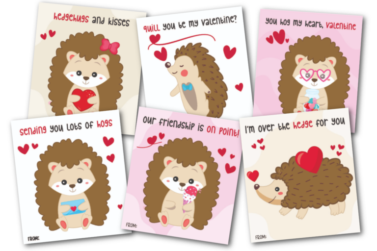 Cute Hedgehog Valentine Cards - Fun Money Mom