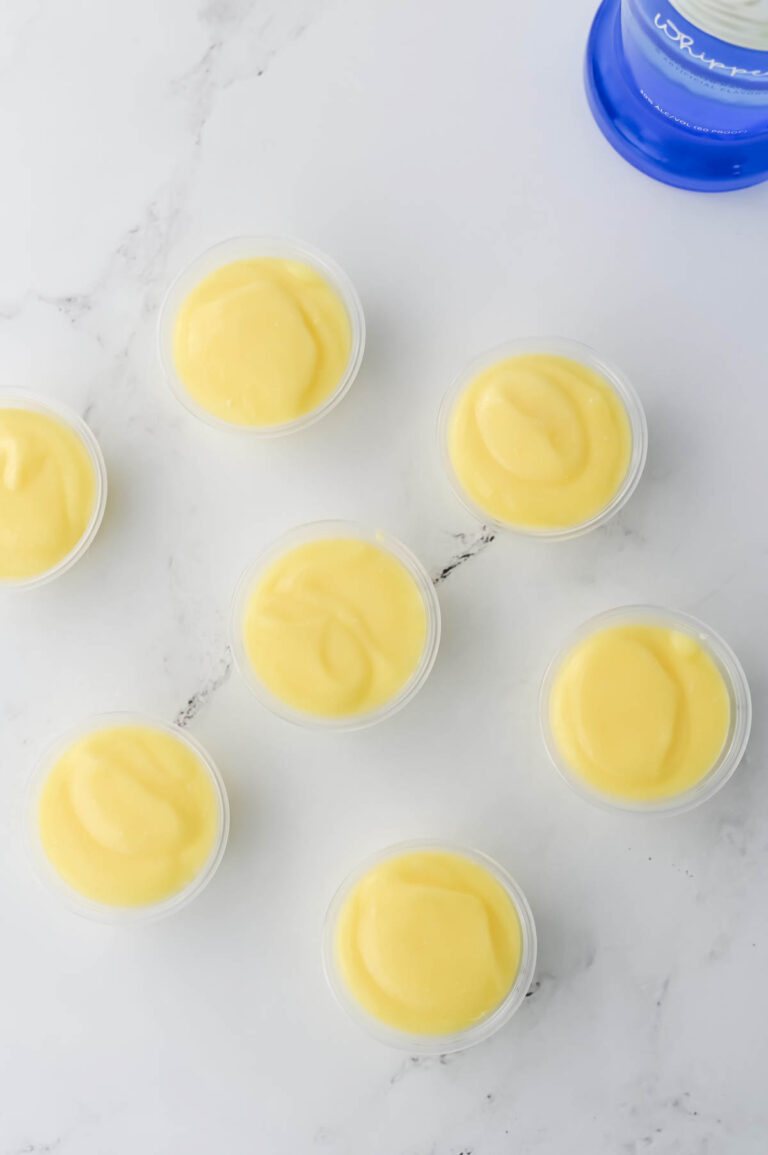 Birthday Cake Pudding Shot Recipe - Fun Money Mom