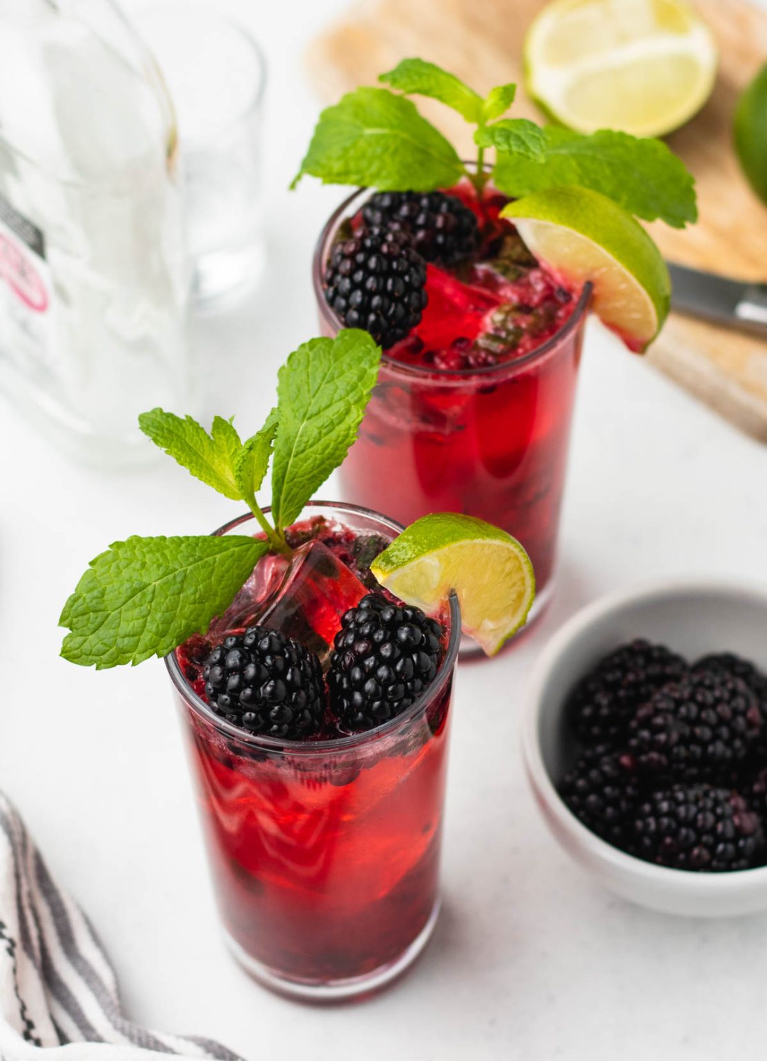 Blackberry Mojito Recipe - Fun Money Mom