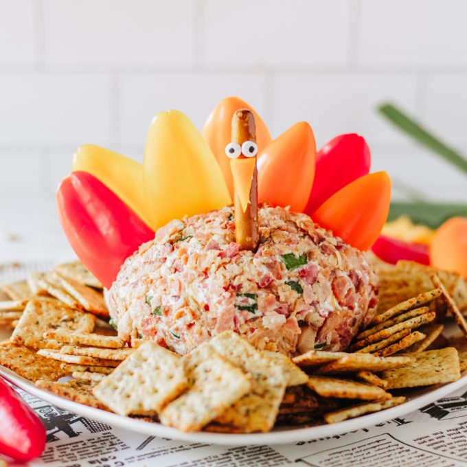 Turkey Cheese Ball - Fun Money Mom