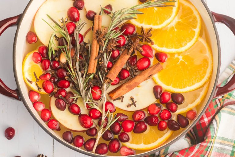 Christmas Simmer Pot - Fun Money Mom