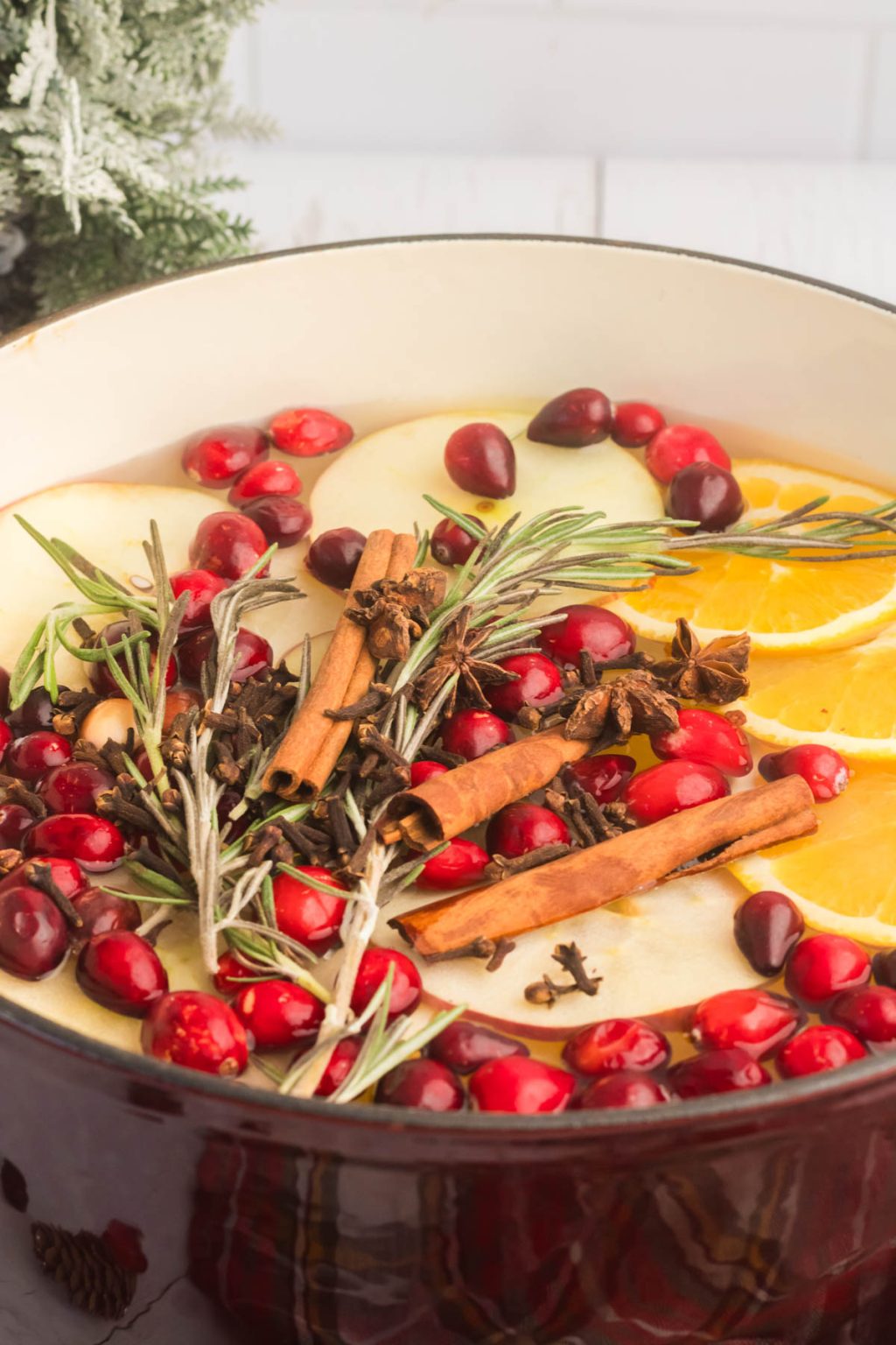 Christmas Simmer Pot - Fun Money Mom