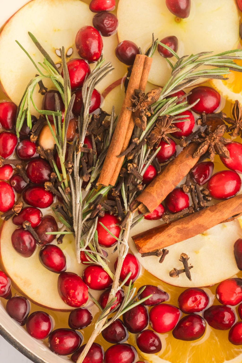 Christmas Simmer Pot - Fun Money Mom