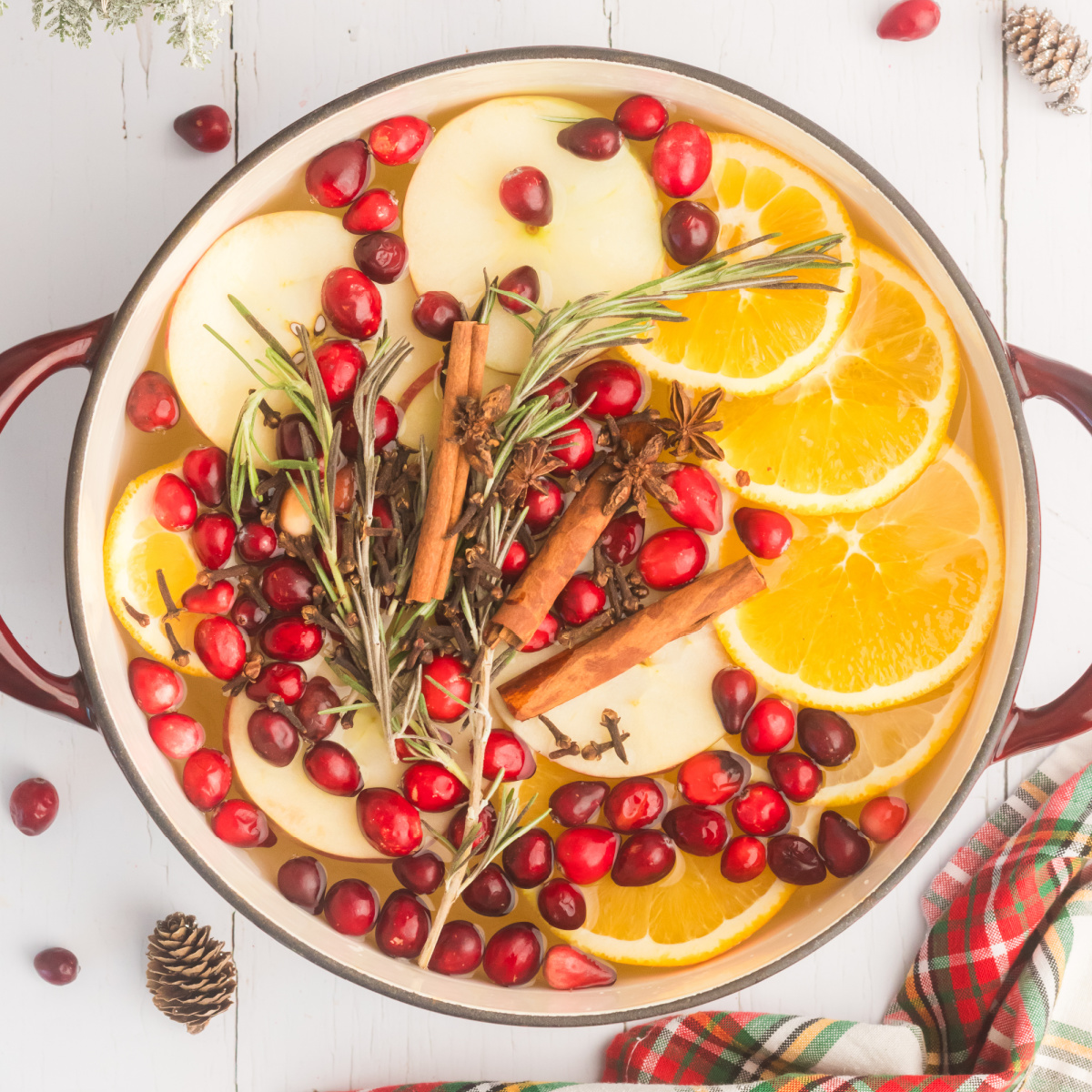 Christmas Simmer Pot - Fun Money Mom