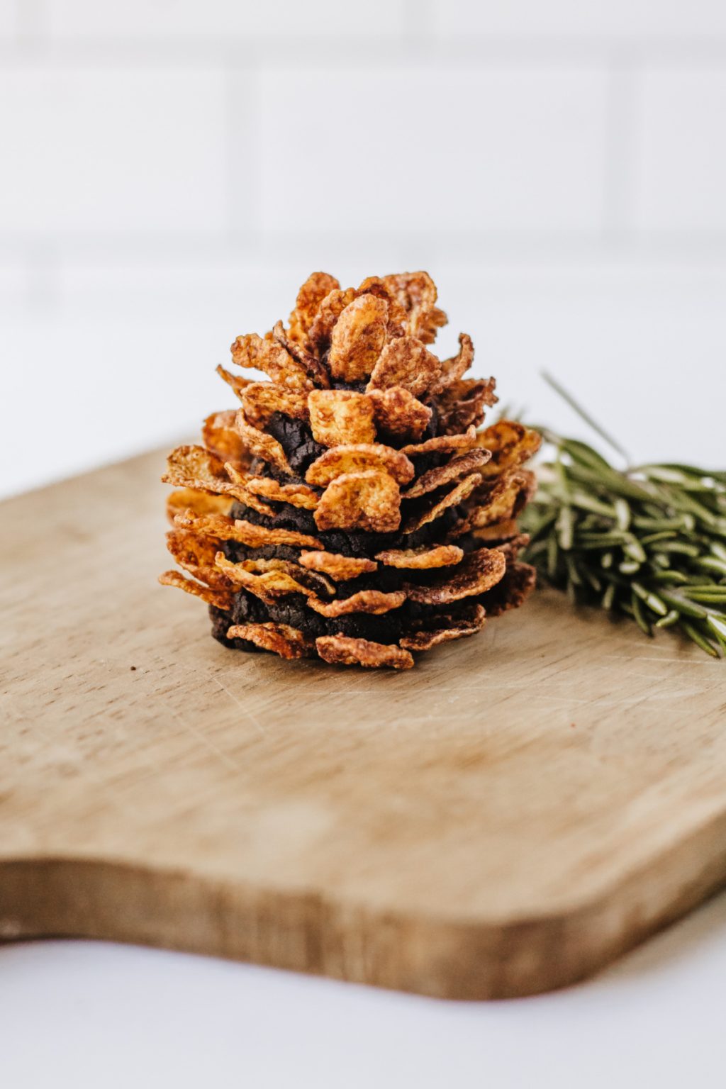 Pine Cone Truffles - Fun Money Mom