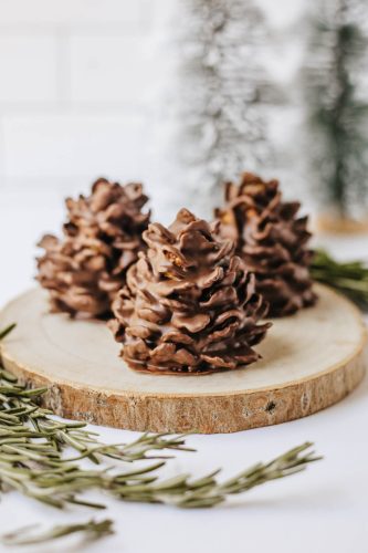 Pine Cone Truffles - Fun Money Mom