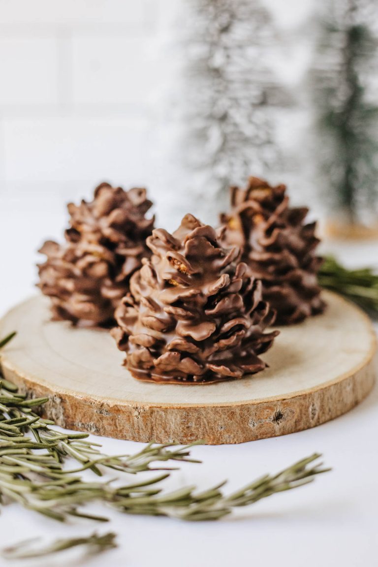 Pine Cone Truffles - Fun Money Mom