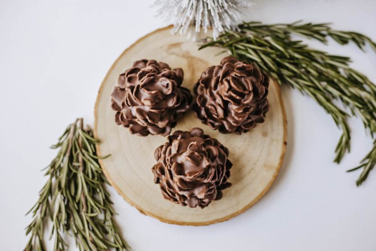 Pine Cone Truffles - Fun Money Mom