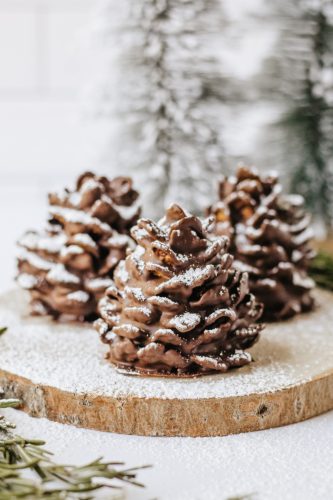 Pine Cone Truffles - Fun Money Mom