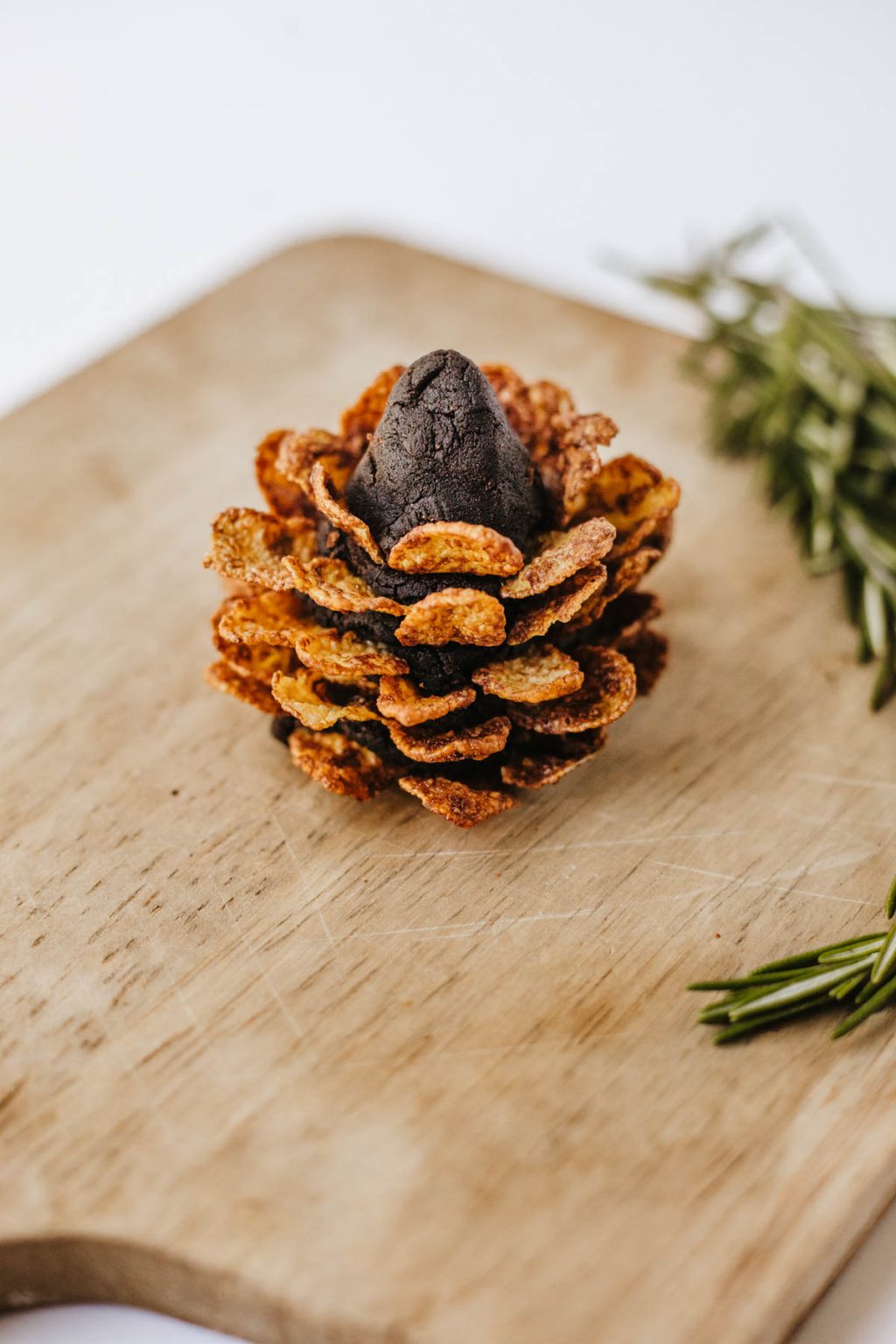 Pine Cone Truffles - Fun Money Mom