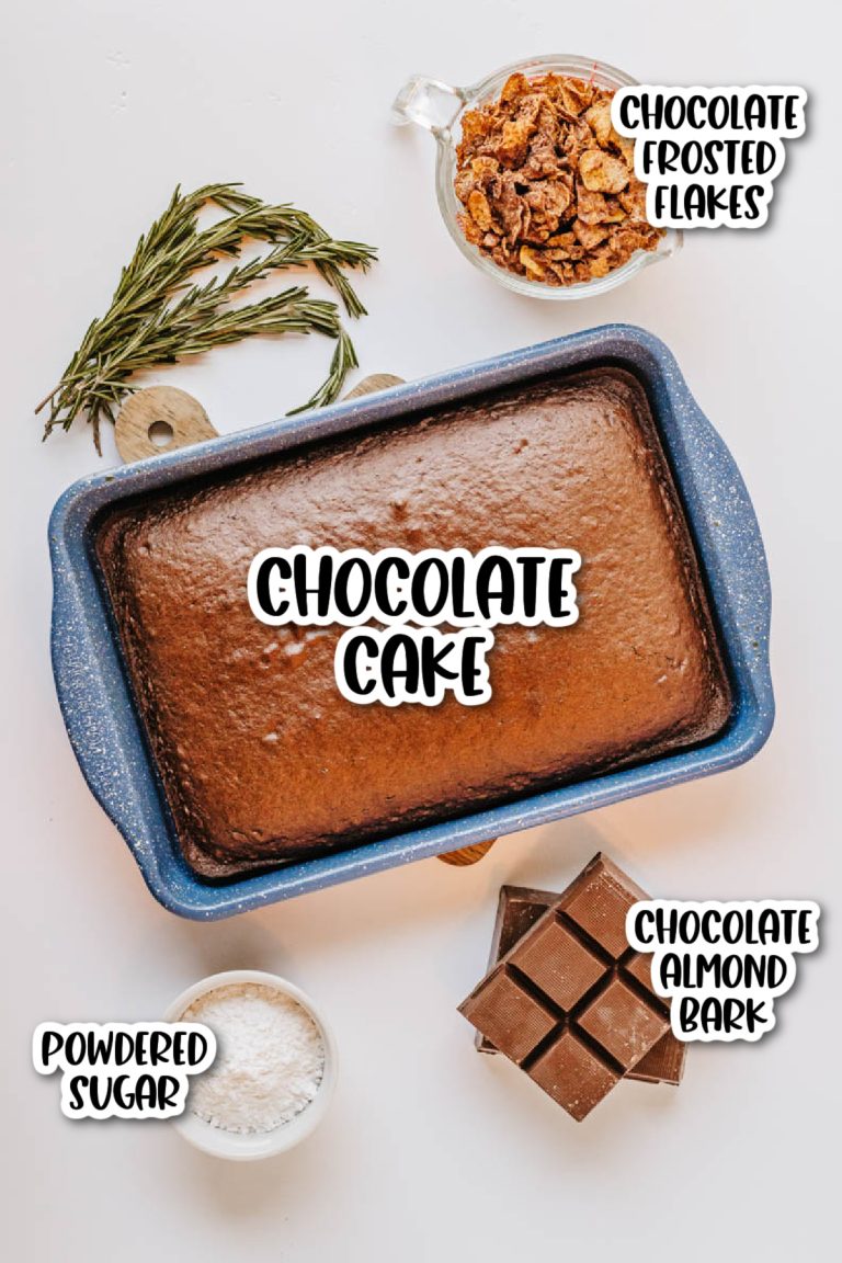 Pine Cone Truffles - Fun Money Mom