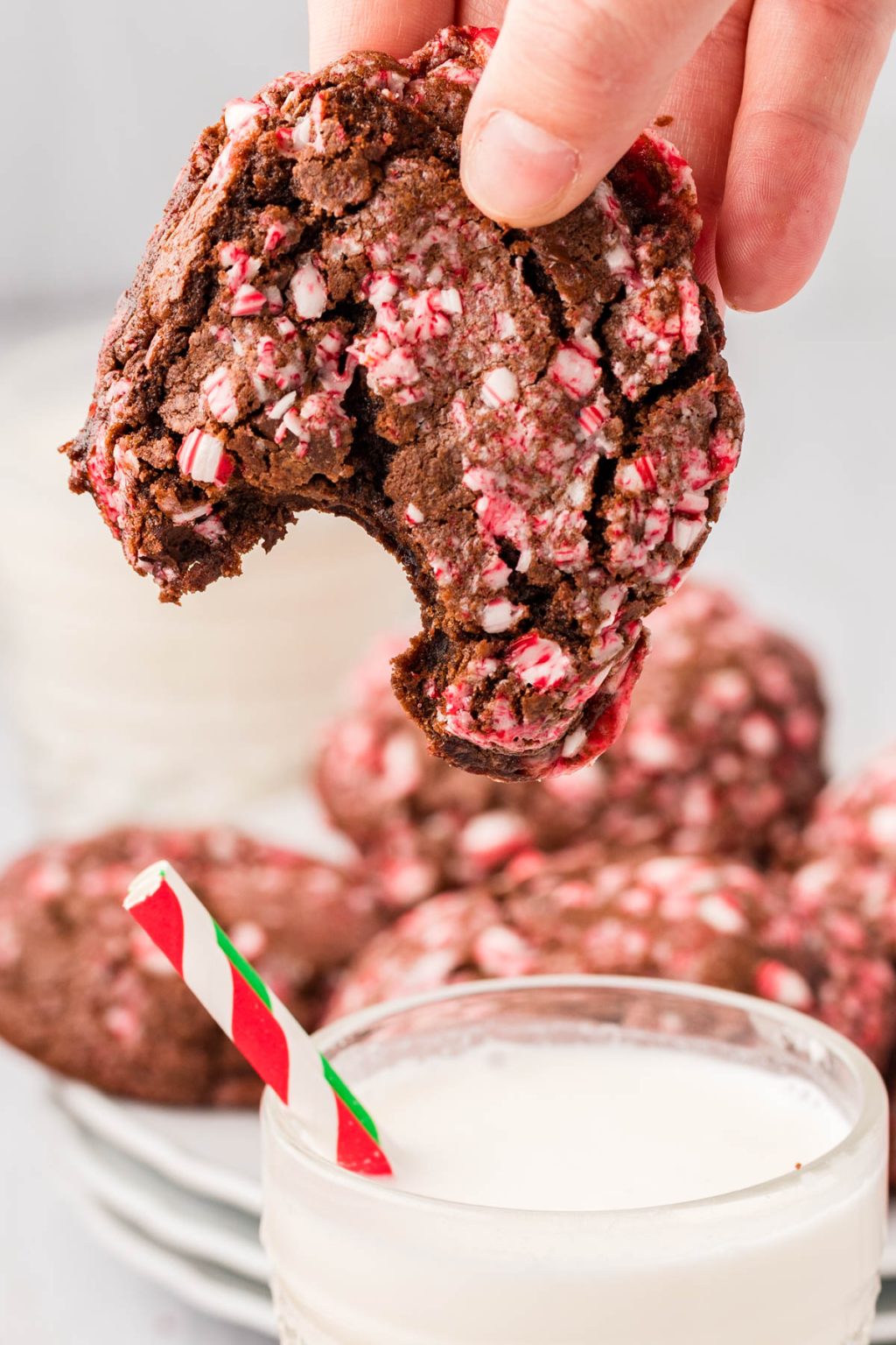 Chocolate Peppermint Cookies - Fun Money Mom