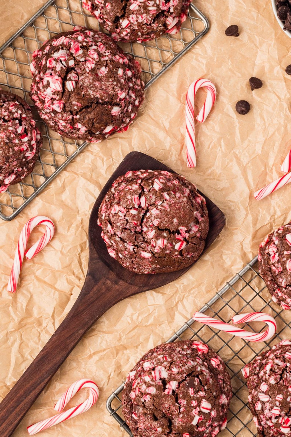 Chocolate Peppermint Cookies - Fun Money Mom