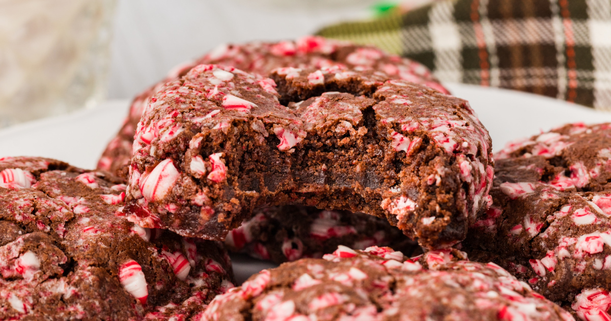 Chocolate Peppermint Cookies - Fun Money Mom